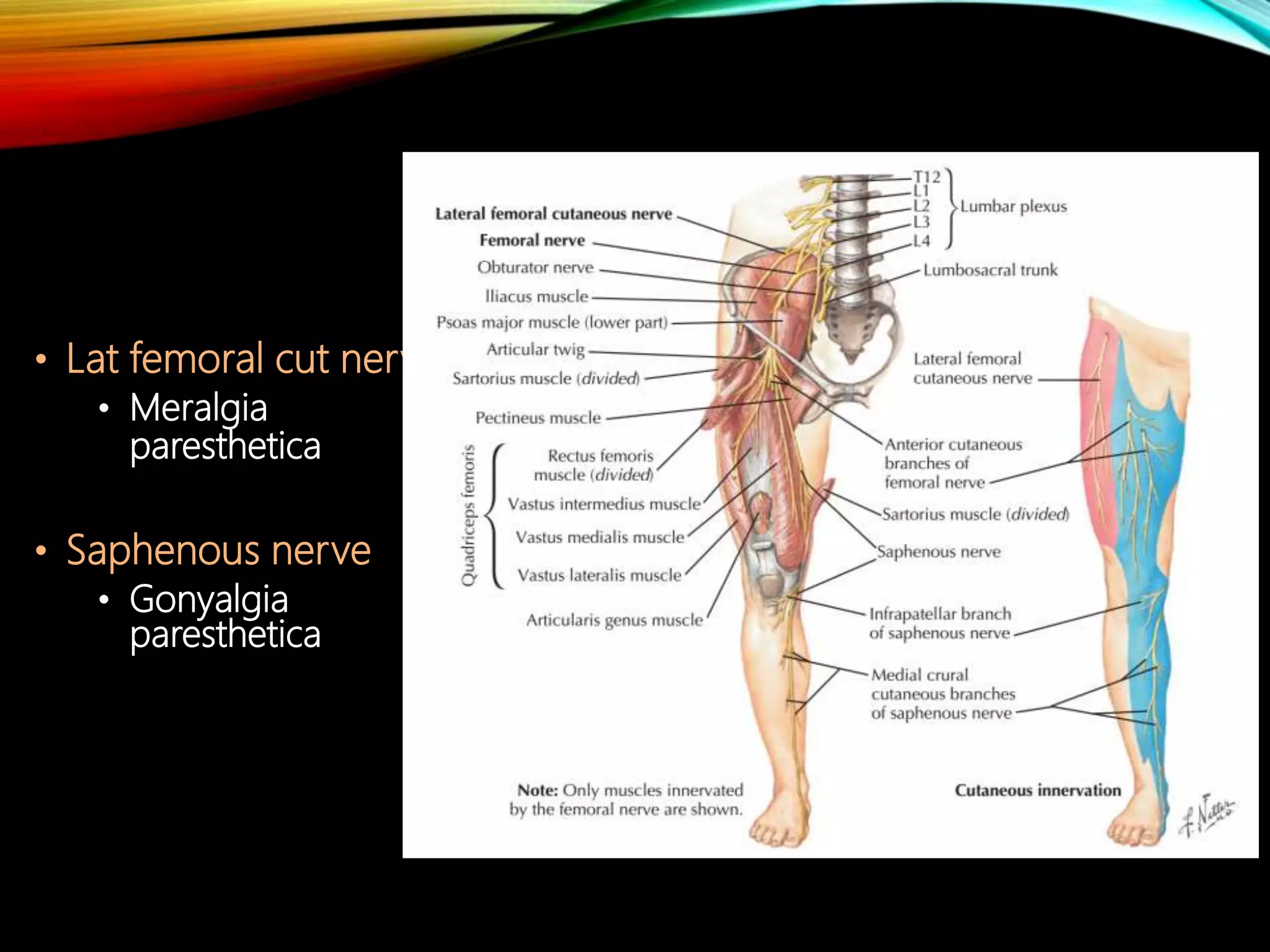 Nerve entrapment & injury for medical student (2ed) | PPTX | Death ...