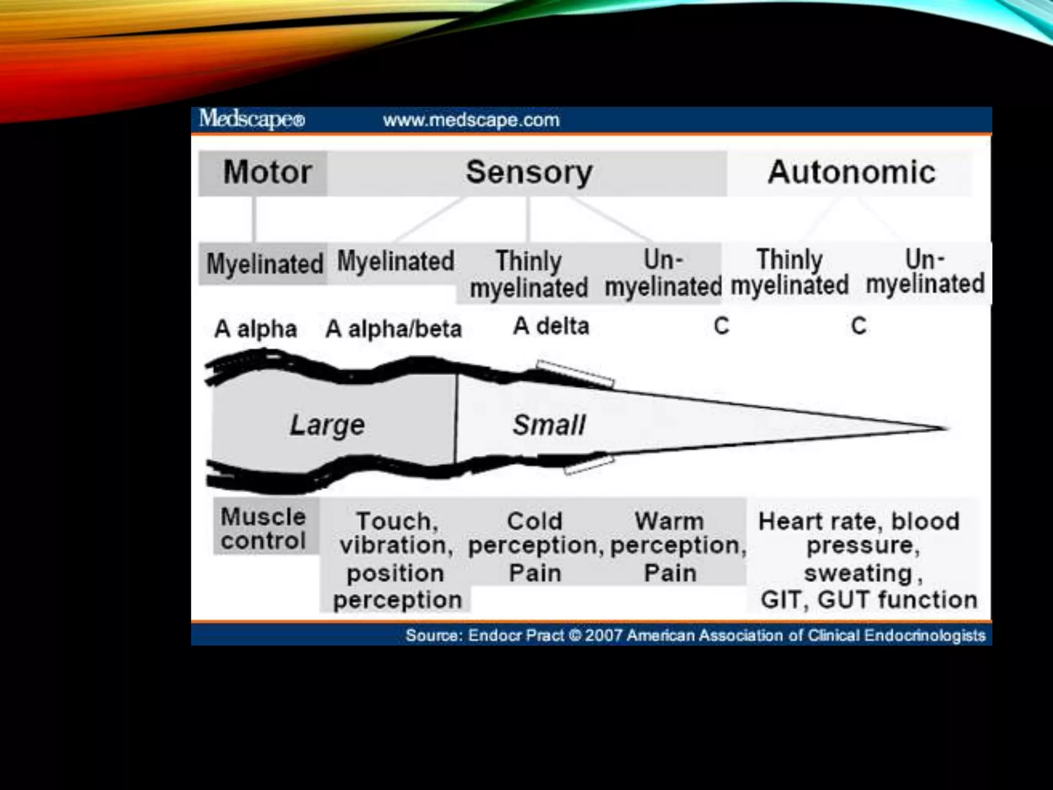 Nerve entrapment & injury for medical student (2ed) | PPTX | Death ...