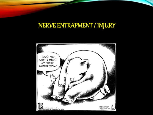 Nerve entrapment & injury for medical student (2ed) | PPTX | Death ...