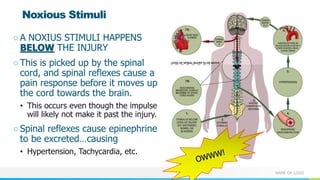 Autonomic Dysreflexia Mnemonic