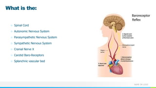 Autonomic Dysreflexia Mnemonic