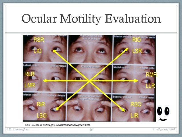 2019 Pgh Basic Motility Exam