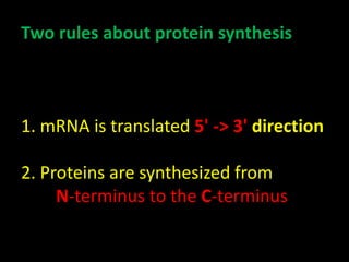 PROTEIN SYNTHESIS | PPT