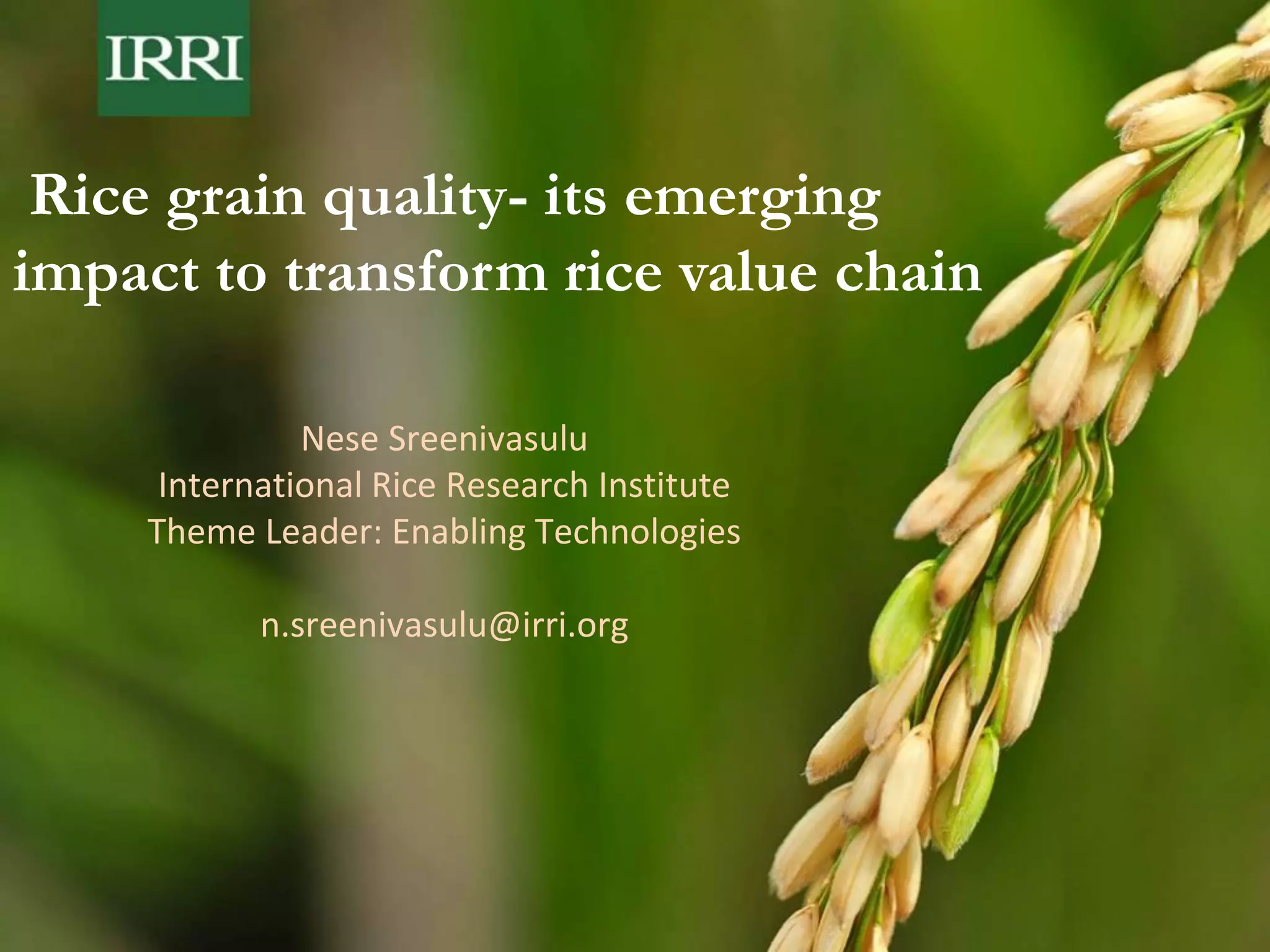 Rice grain quality and its value chain | PDF