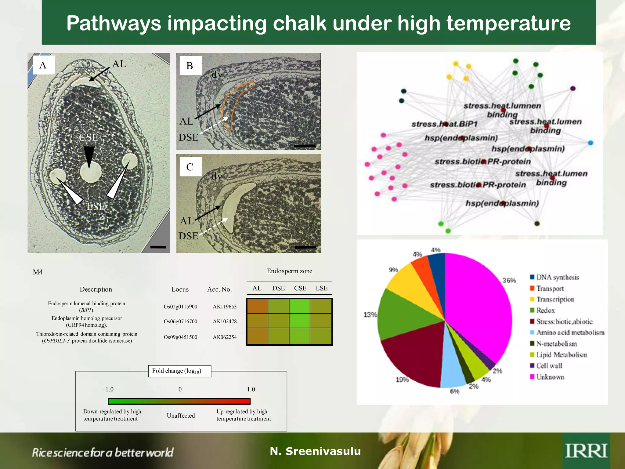 Rice grain quality and its value chain | PDF
