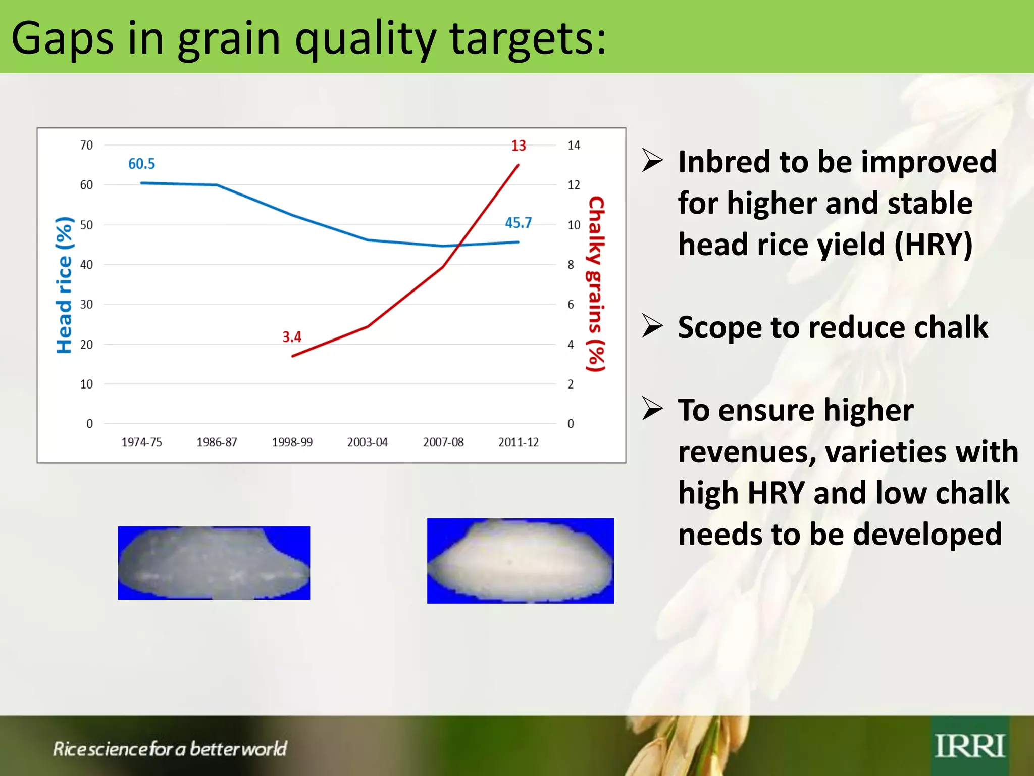 Rice grain quality and its value chain | PDF