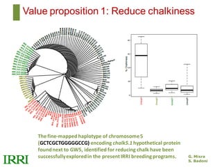 Rice grain quality and its value chain | PDF