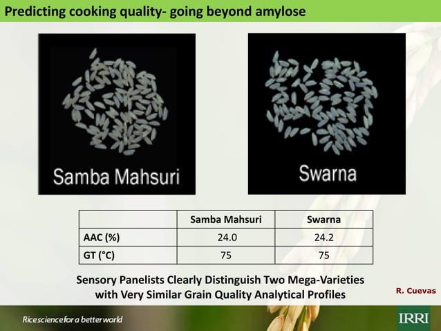 Rice grain quality and its value chain | PDF | Business | Business and ...
