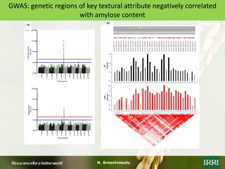 Rice grain quality and its value chain | PDF