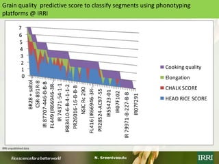 Rice grain quality and its value chain | PDF