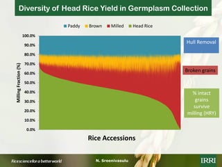Rice grain quality and its value chain | PDF
