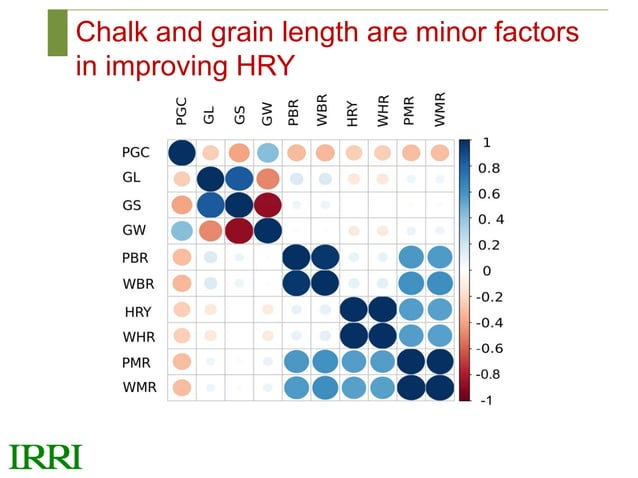 Rice grain quality and its value chain | PDF | Business | Business and ...