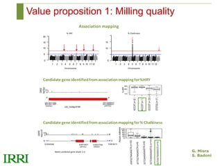 Rice grain quality and its value chain | PDF