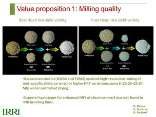 Rice grain quality and its value chain | PDF