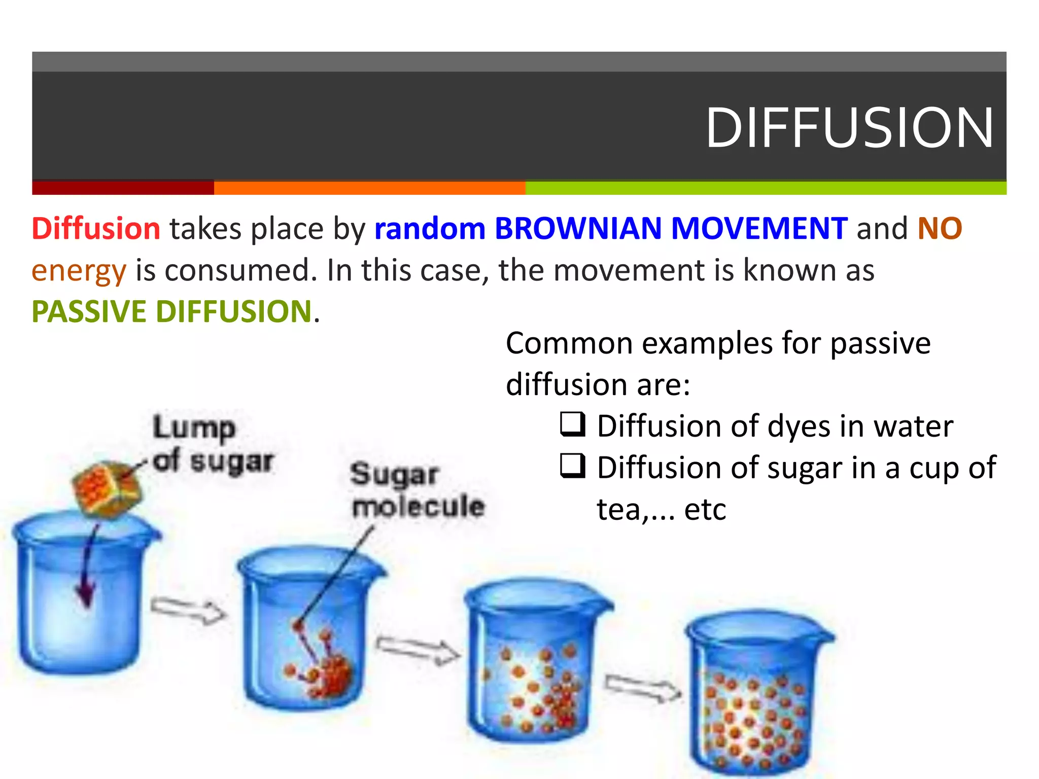 Transfer of matter Diffusion - Osmosis -Dissolution rate | PDF