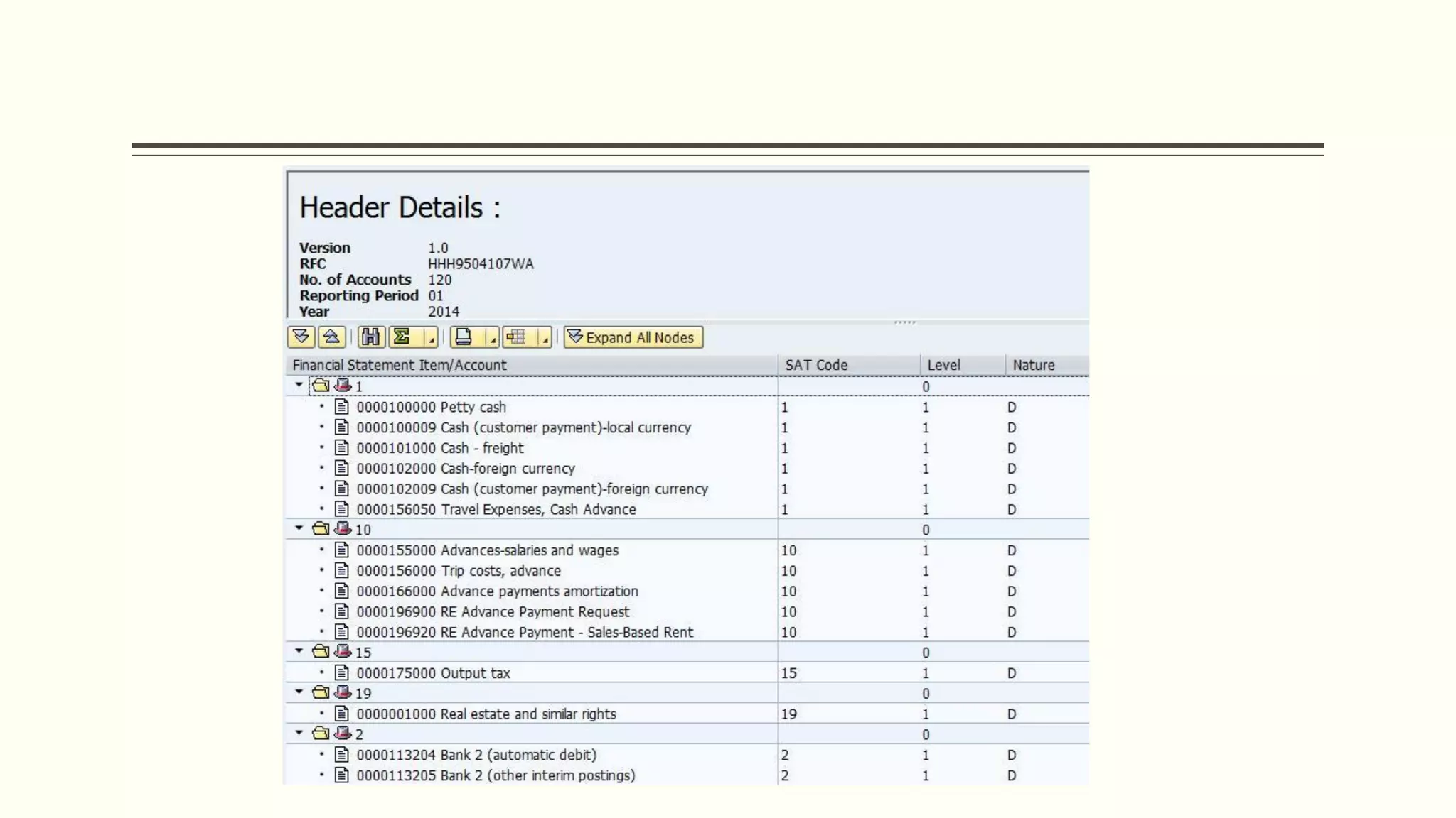E-ACCOUNTING ( SAP's Solution) For Mexico | PDF | Business Accounting ...