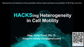 HACKSing heterogeneity in cell motility | PPT