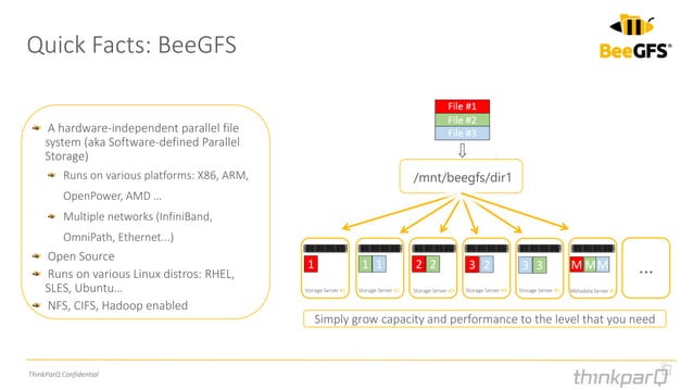 BeeGFS - Dealing with Extreme Requirements in HPC | PPT