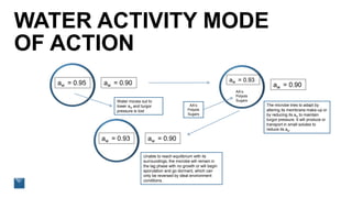 Water Activity 101: Master The Basics | PPTX