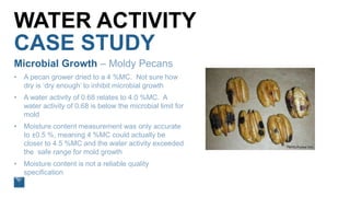 Water Activity 101: Master The Basics | PPTX