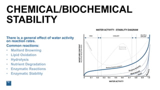 Water Activity 101: Master The Basics | PPTX