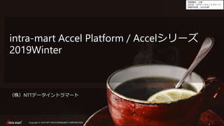 Accel series 2019_Winter | PPT