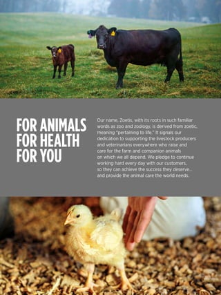 Zoetis-Corporate-Brochure-web_0 | PDF