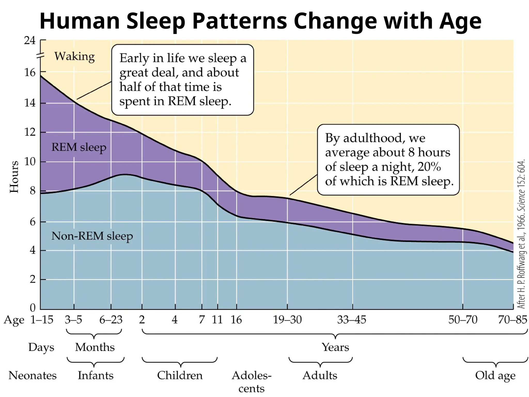Intro psychology sleep rhythms psychology | PPTX | Sleep Disorders ...