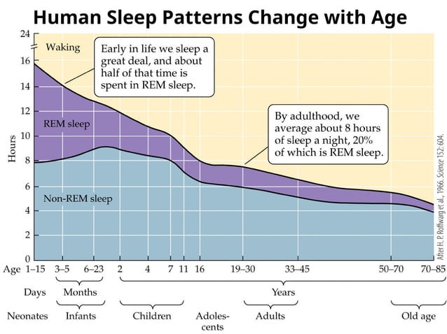 Intro psychology sleep rhythms psychology | PPTX | Sleep Disorders ...