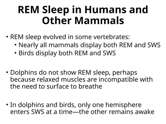 Intro psychology sleep rhythms psychology | PPTX | Sleep Disorders ...