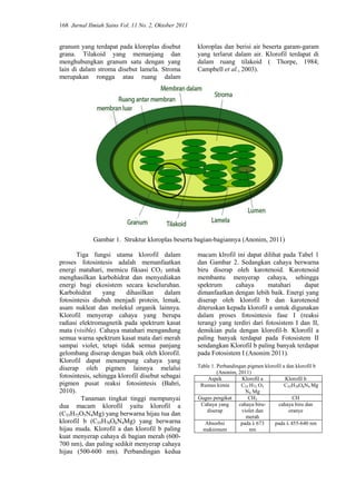 Konsentrasi Klorofil Daun sebagai Indikator Kekurangan Air pada Tanaman | PDF