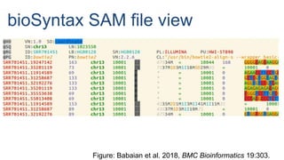 BioSyntax: syntax highlighting for computational biology | PPT