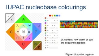 BioSyntax: syntax highlighting for computational biology | PPT