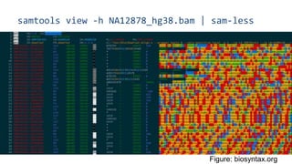 BioSyntax: syntax highlighting for computational biology | PPT