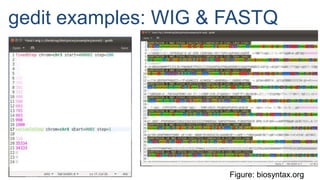 BioSyntax: syntax highlighting for computational biology | PPT
