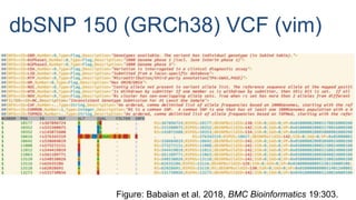 BioSyntax: syntax highlighting for computational biology | PPT