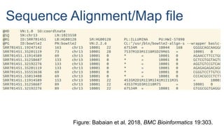 BioSyntax: syntax highlighting for computational biology | PPT