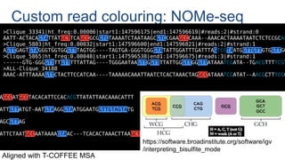 BioSyntax: syntax highlighting for computational biology | PPT