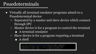 Terminals and Shells | PPTX | Operating Systems | Computer Software and ...