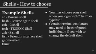 Terminals and Shells | PPTX | Operating Systems | Computer Software and Applications