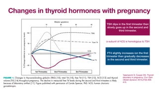 2020-05-27 The Role of Maternal Thyroid Status on Pregnancy Outcomes ...