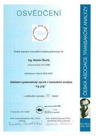 Basic systematic training in Transactional Analysis | PDF