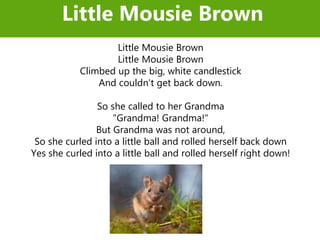 Toddler Storytime Sample | PPTX
