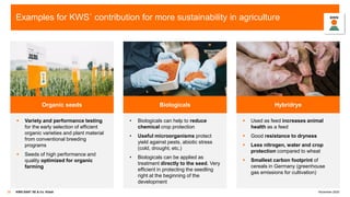 German KWS seed group investor presentation | PPT | Free Download