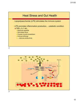 heat stress pathology dairy cattle belcham | PDF