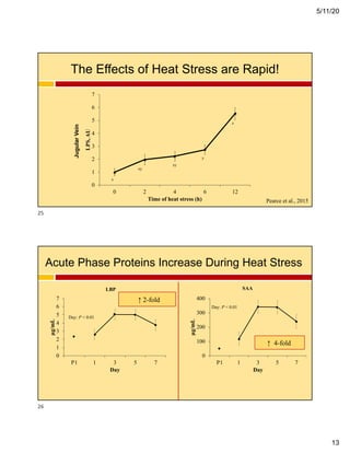 heat stress pathology dairy cattle belcham | PDF