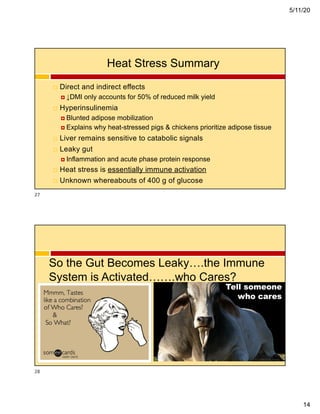 heat stress pathology dairy cattle belcham | PDF