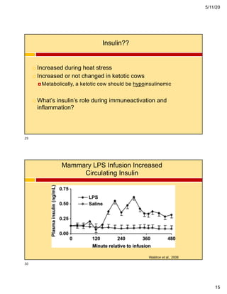 heat stress pathology dairy cattle belcham | PDF