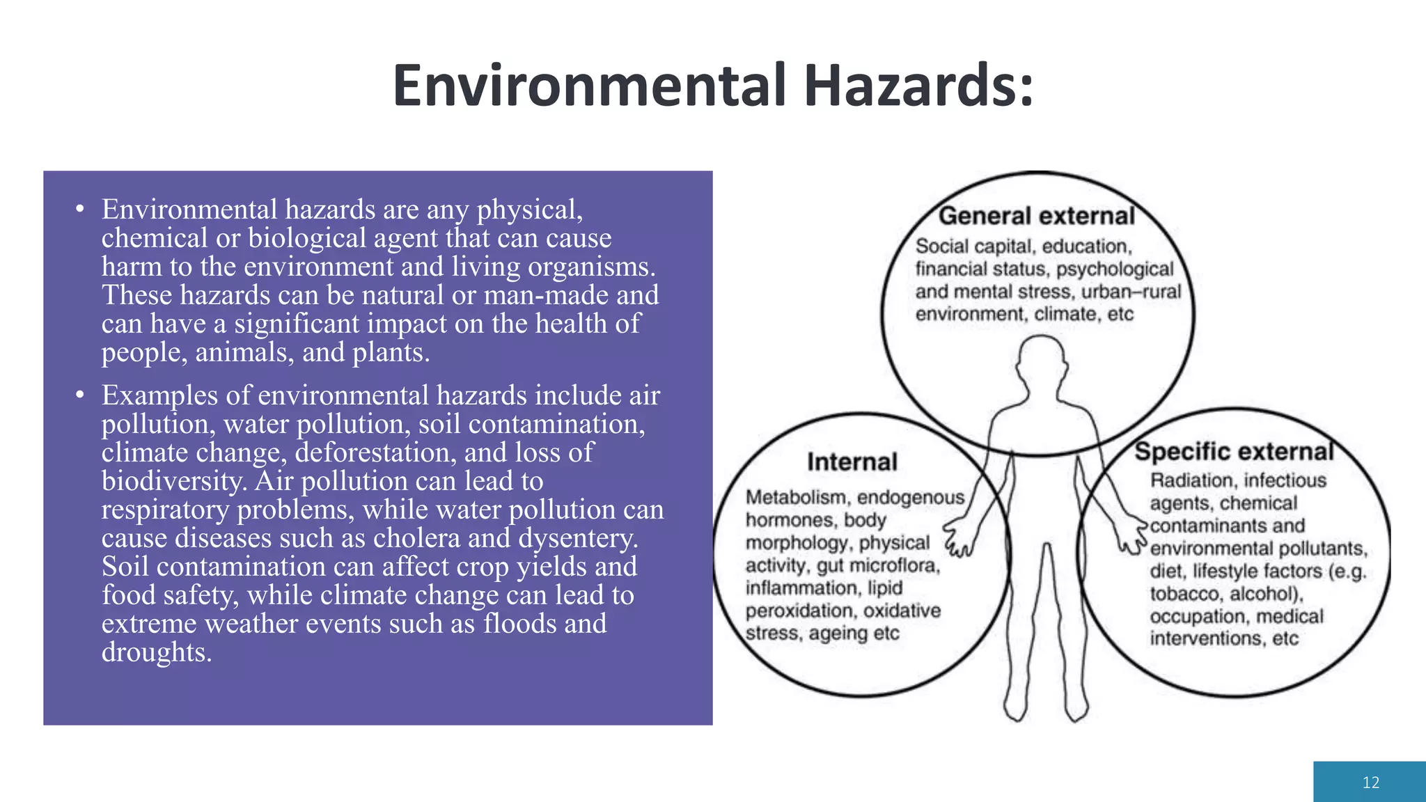 Hazards and Xenobiotics.pptx