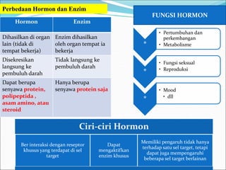 2020-Biokimia hormon-FKG.ppt
